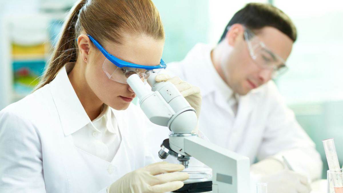 Autism Research Howcast autism-research-howcast