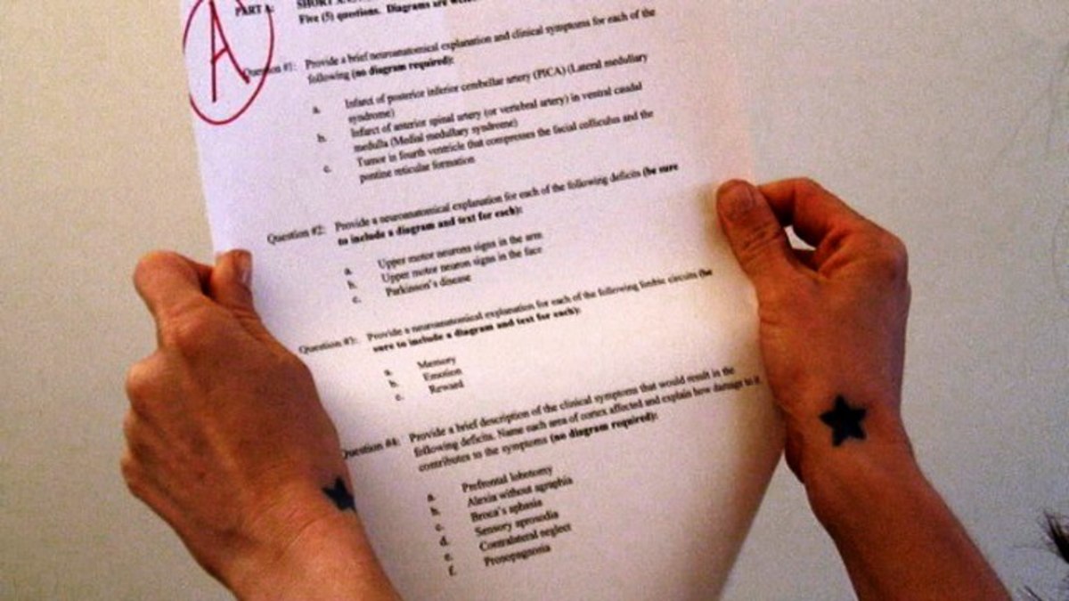 How To Improve Your Test Scores Howcast how-to-improve-your-test-scores-howcast