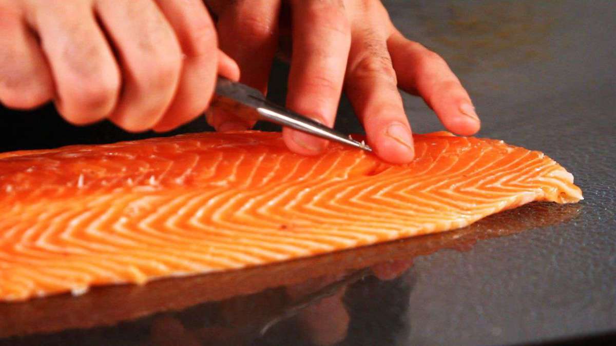 How to Remove Pin Bones from a Salmon Fillet - Howcast How to Remove Pin Bones from a Salmon Fillet - Howcast